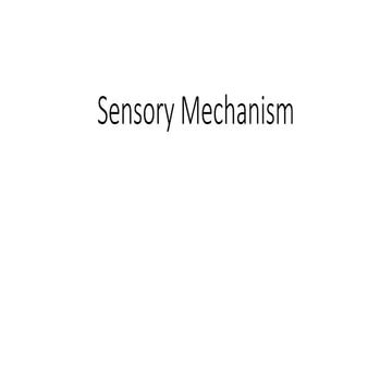 Sensory Mechanism- definition characteristics | PPTX