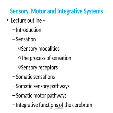 sensory receptor types and function ppt | PPTX