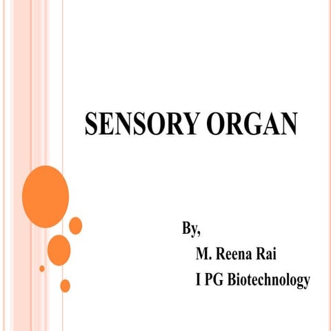Sensory organ | PPTX