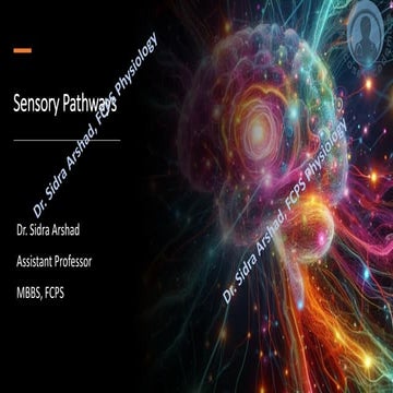 The Physiology of Central Nervous System - Sensory Pathways | PDF