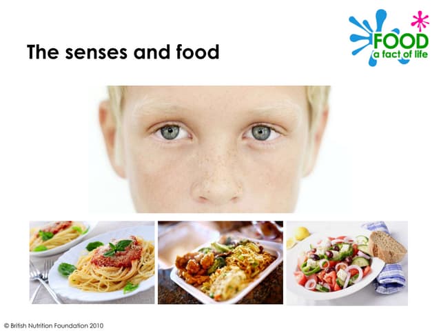 Imagery | PPT