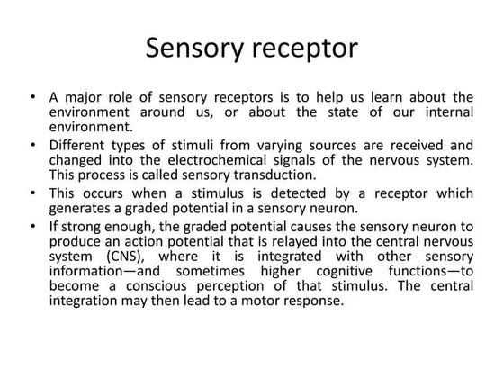 sensory processing information lecture.... | PDF