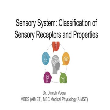 Sensory Receptors Physiology- A detailed review | PPTX