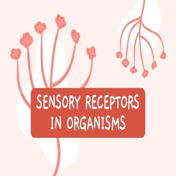 Powerpoint presentation SENSORY RECEPTORS.pptx