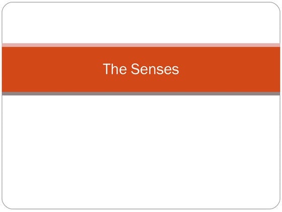 Sense organs of the human body | PPTX | Ear, Nose and Throat Conditions ...