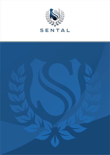 Lead press release | PDF