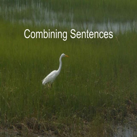 Correcting A Run On Sentence | PPT