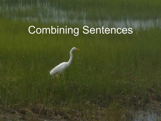 Classification | PPT