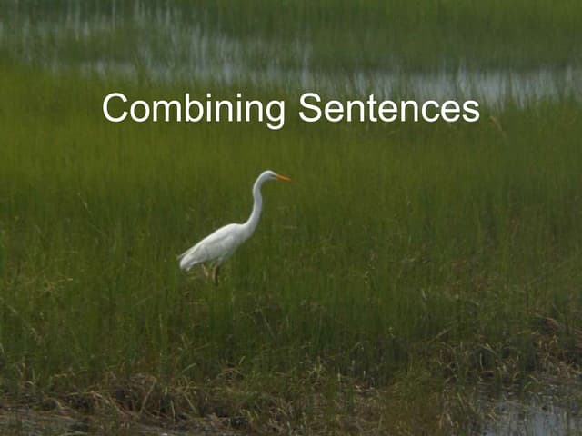 Comparing Poems | DOC