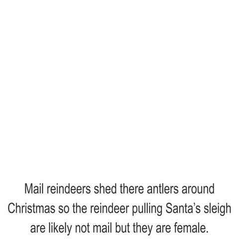 Sentence corrections christmas facts | PPT