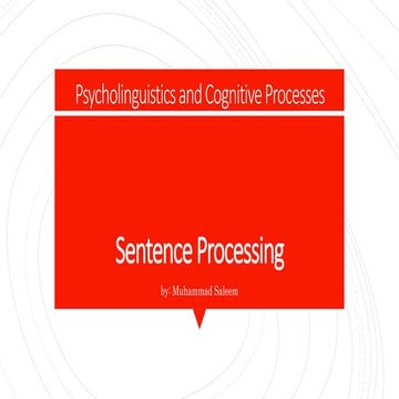 Sentence Processing by Muhammad Saleem.pptx