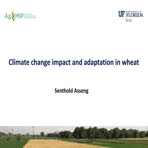 Climate change impact and adaptation in wheat | PPTX