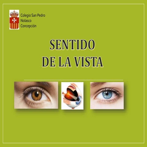 sentido-de-la-vista-4°-medio.pptx