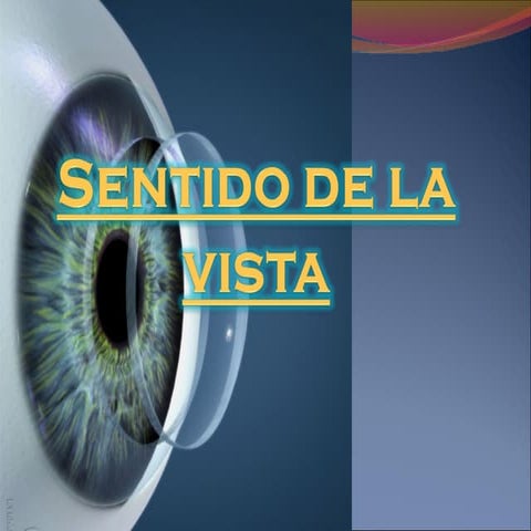 Sentido De La Vista 1 | PPT