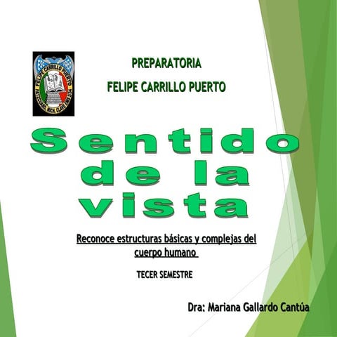 Sentido de la vista | PPT