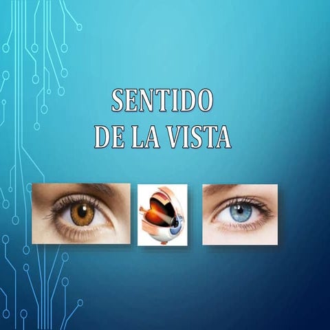 sentido de la vista.pptx