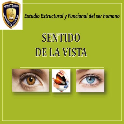 SENTIDO DE LA VISTA y anatomia - CLASE.pptx