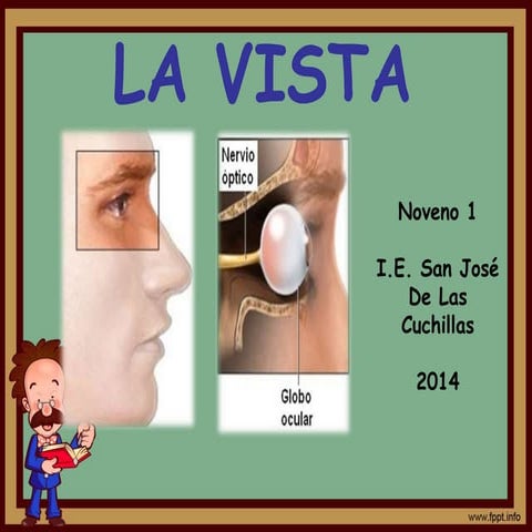 LA VISTA-EL OJO-TODO LO QUE NECESITAN SABER-2014 | PPTX
