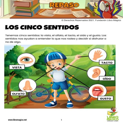 Los 5 sentidos.pdf