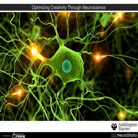 Neuro-Design Optimization for Creative Agencies | PPT