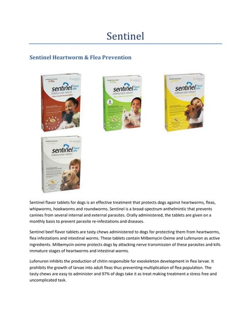 Duralactin Feline | PPT
