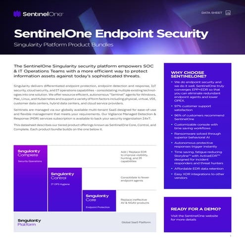 Sentinelone Endpoint Security antivi.pdf