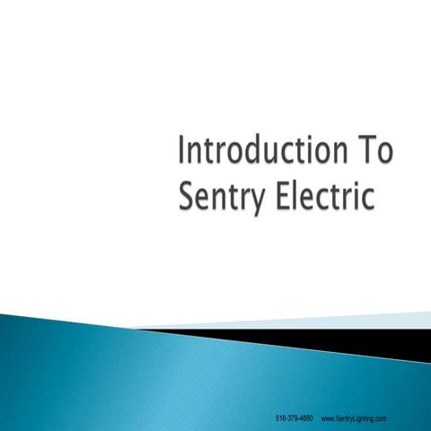 Introduction To Sentry Electric Street and Area Lighting Products | PPT