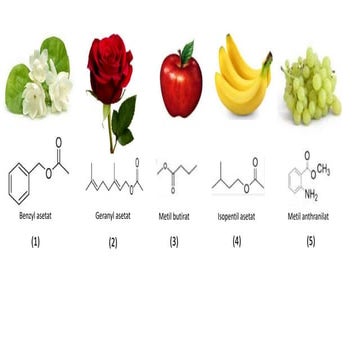 Senyawa organik.pptx