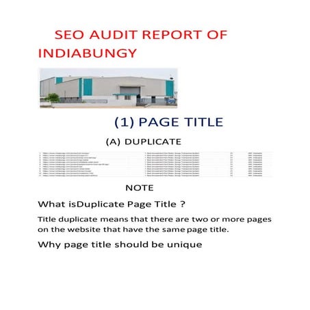 SEO AUDIT REPORT OF INDIABUNGY (1).docx