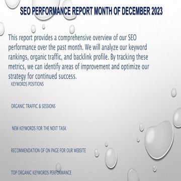 SEO Performance Report December 2023.pptx