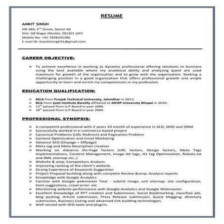 Best SEO Resume | PDF