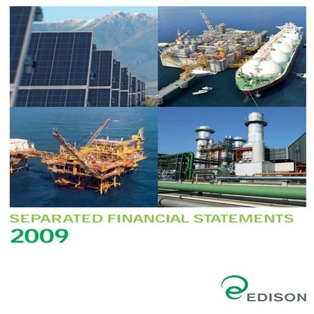 Separate financial Statements 2009 | PDF