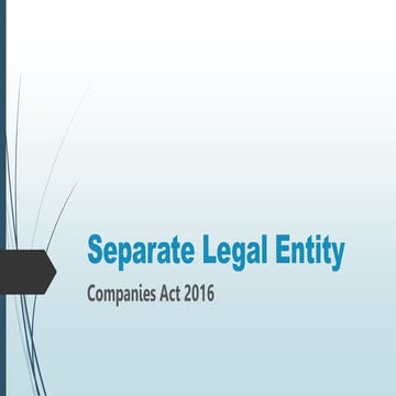 Separate Legal Entity CA2016.pptx