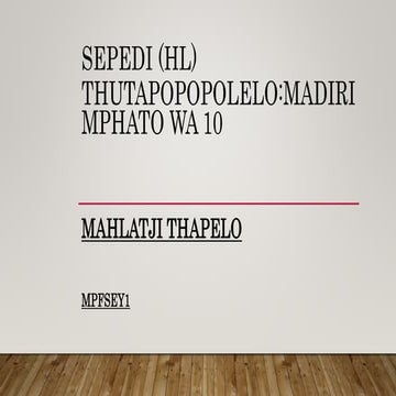 SEPEDI LESSON PRESENTATION GRADE 10.pptx
