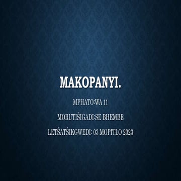 SEPEDI MICRO LESSON PRESENTATION.pptx