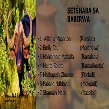 SEPEDI PRESENTATION (2)final.pptx