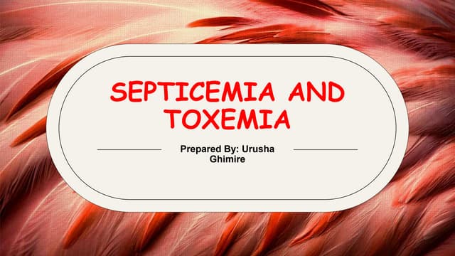 Septicemia | PPT