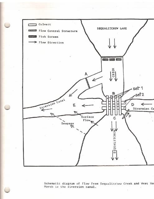 Sequalitchew creek watershed drainage map | PDF