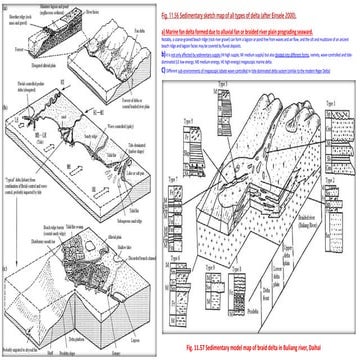 sequence characteristic.pptx