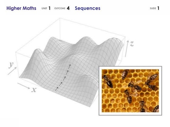 Differentiation | PPT