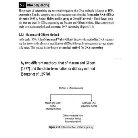 sequencing.pptx | Genetics | Science