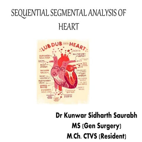 Sequential segmental analysis of heart | PPTX