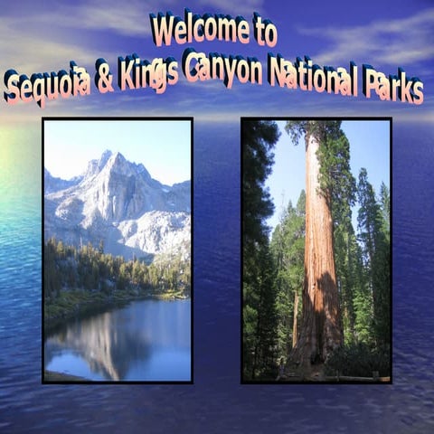 Sequoia Kings3 - Naturalists at Large | PPT