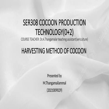 Sericulture - Post Cocoon Technology / Processing of Cocoons | PPTX