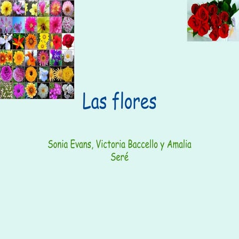 Las flores | PPT