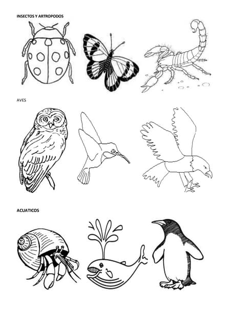 Abecedario Den ingles | DOCX