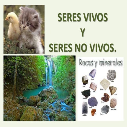 Seres vivos y no vivos | PPTX