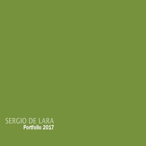 Sergio De Lara - Portfolio 2017 | PDF