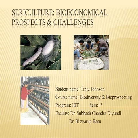 Sericulture | PPTX