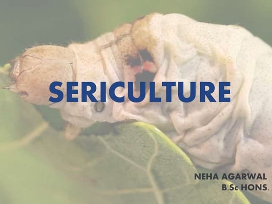 Sericulture - Post Cocoon Technology / Processing of Cocoons | PPT